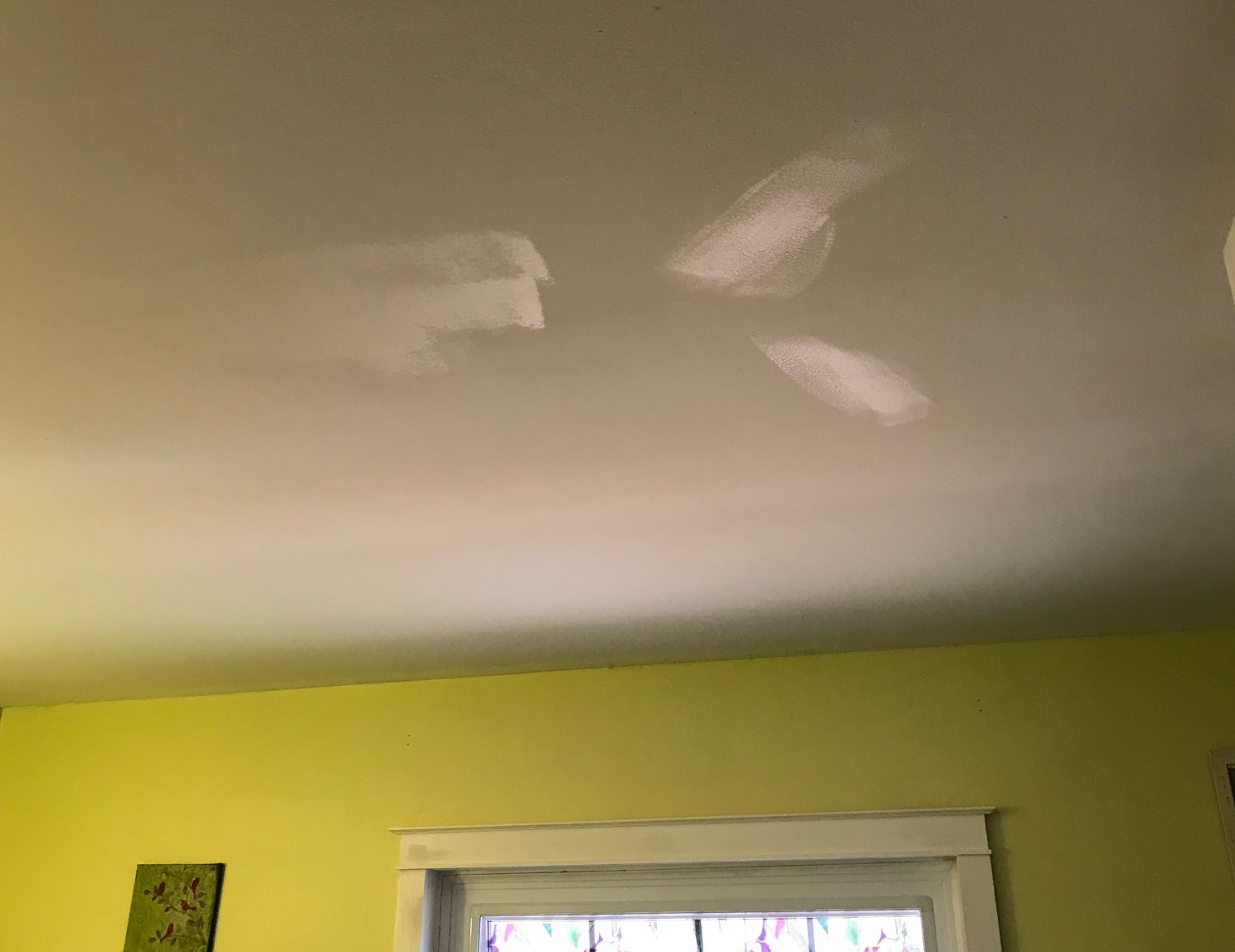 What is up with flashing paint? – Entrepreneur, Writer, Scientist